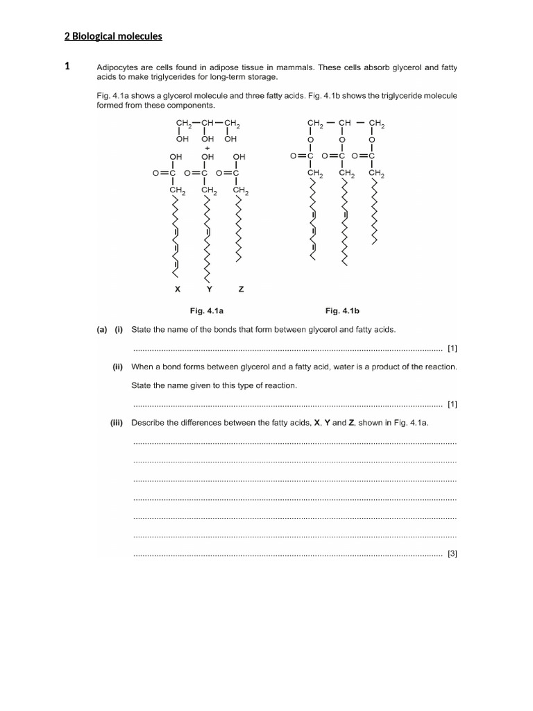 Overview of Biological Molecules | PDF