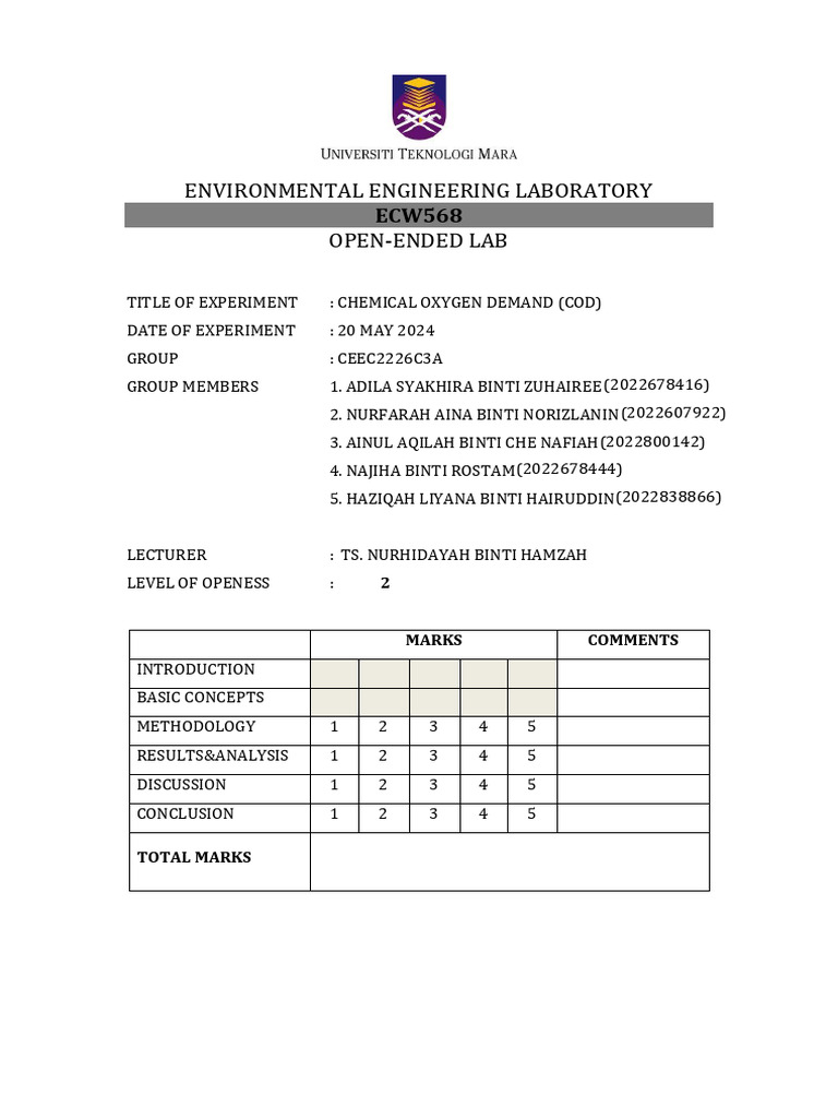 Cod Lab Report Group 2 - Ceec2226c3a | PDF