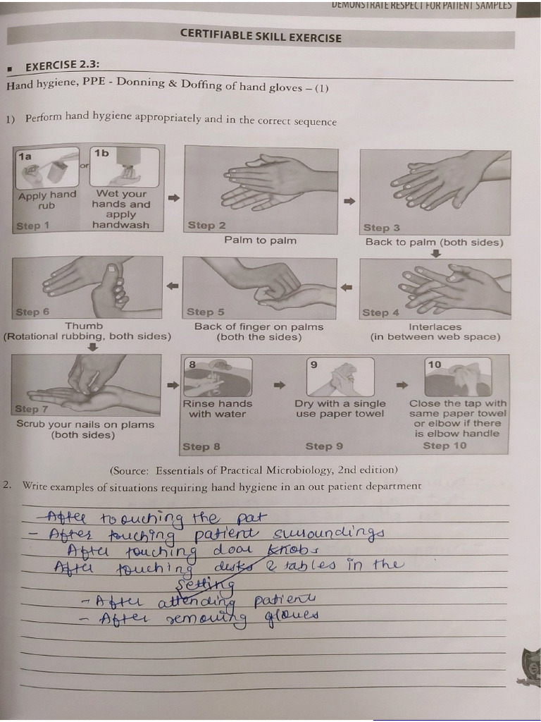 Microbiology Posters Hand Washing | PDF