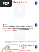 Palmar Aspect of The Hand (Anatomy) | PDF | Hand | Musculoskeletal System