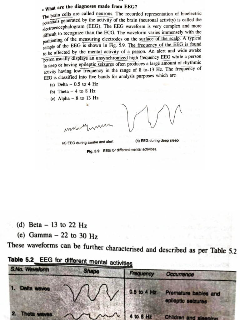 EEG | PDF