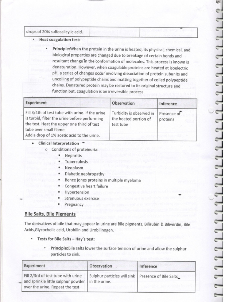 55 Au | PDF