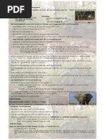 The Woman - Kristina Rungano | PDF | Poetry | Patriarchy