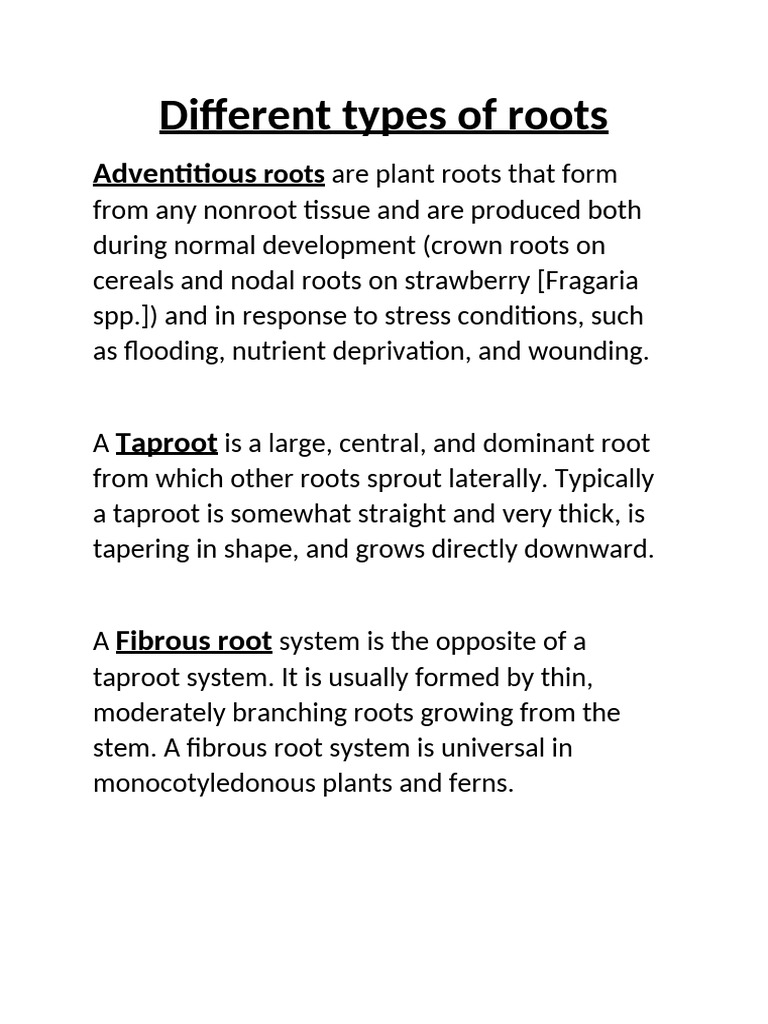 Different Types of Roots | PDF
