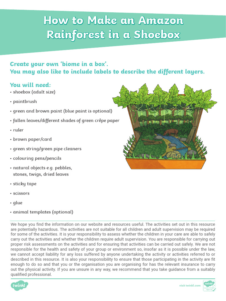 Amazon Rainforest in a Shoebox Guide | PDF | Rainforest | Plants