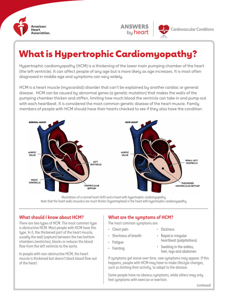 What is HCM | PDF | Heart | Cardiovascular System