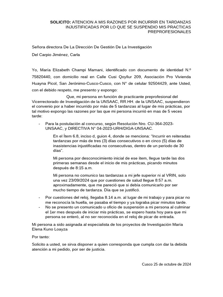 Formato Solicitud Simple | PDF