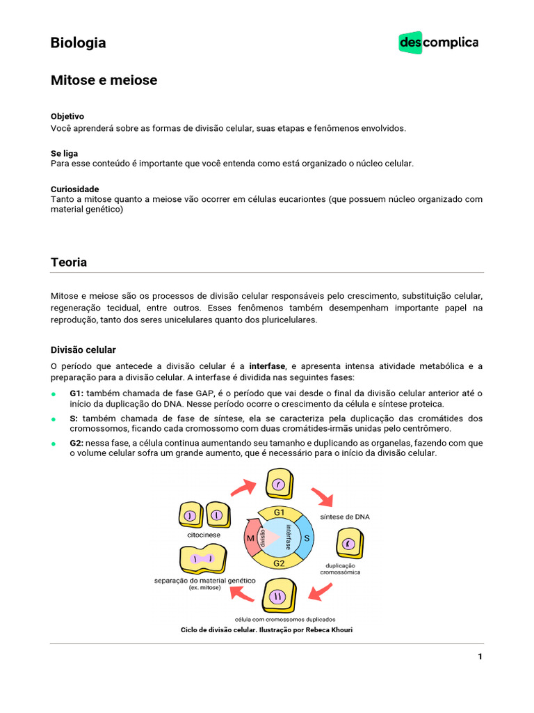 Mitose e meiose | PDF | Meiose | Mitose