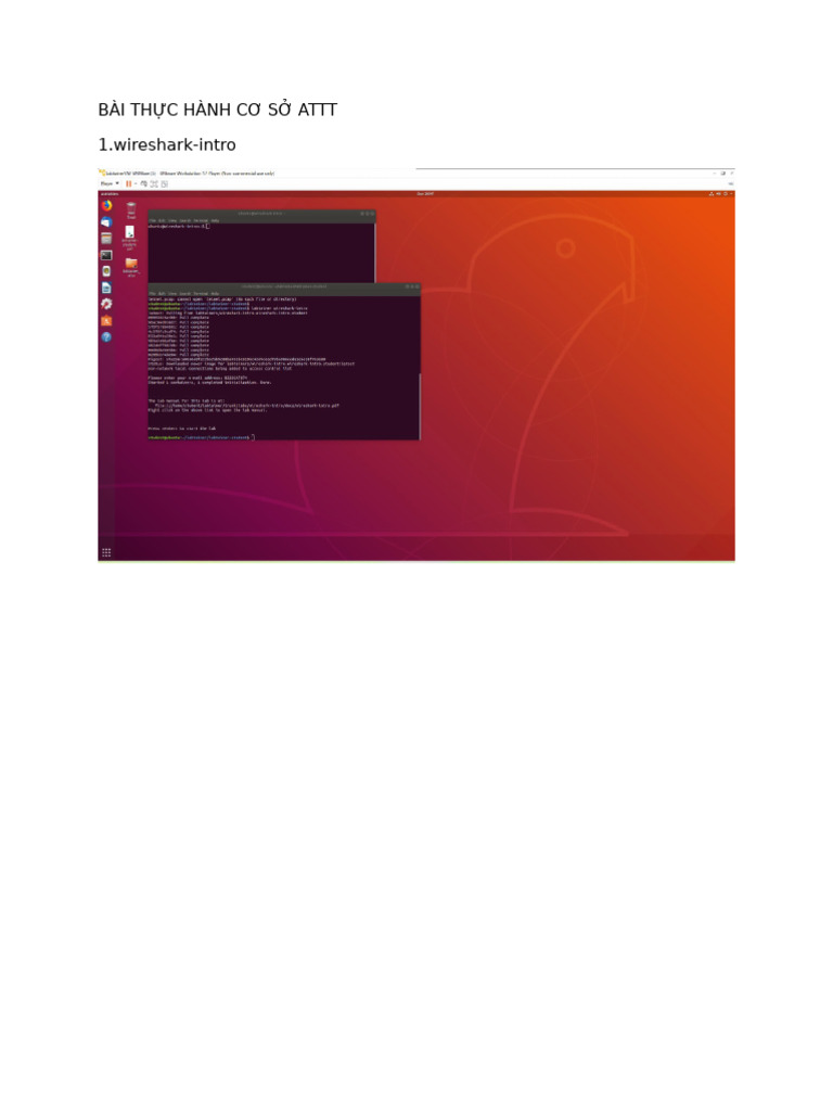 BÀI THỰC HÀNH CƠ SỞ ATTT | PDF