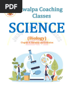 Pigeonetics Game Teacher Guide | PDF | Dominance (Genetics) | Allele