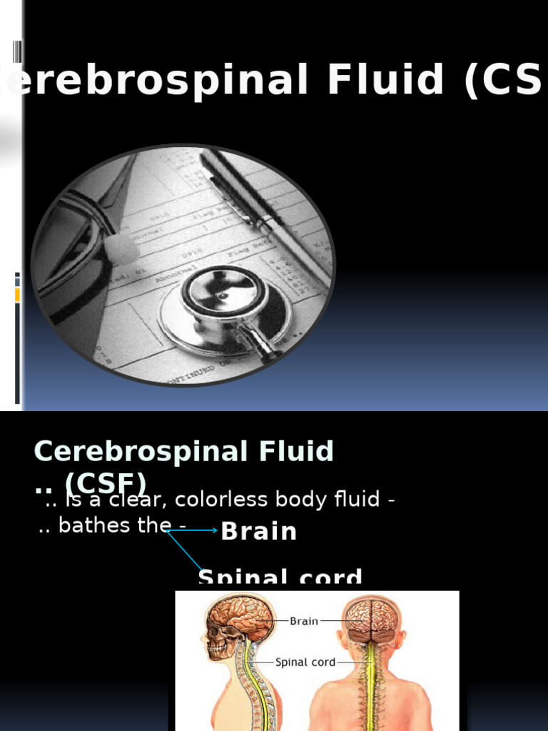 Cerebrospinal Fluid | PDF | Cerebrospinal Fluid | Clinical Medicine