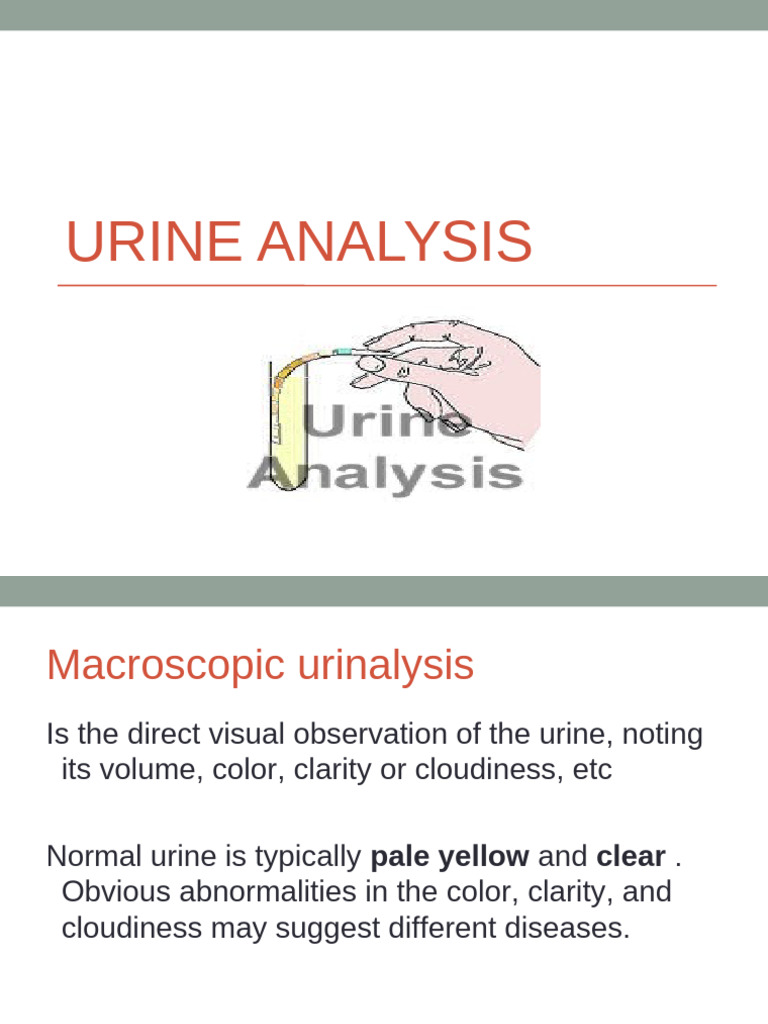 Lecture 5.Urine Analysis | PDF | Diseases And Disorders | Medical Specialties
