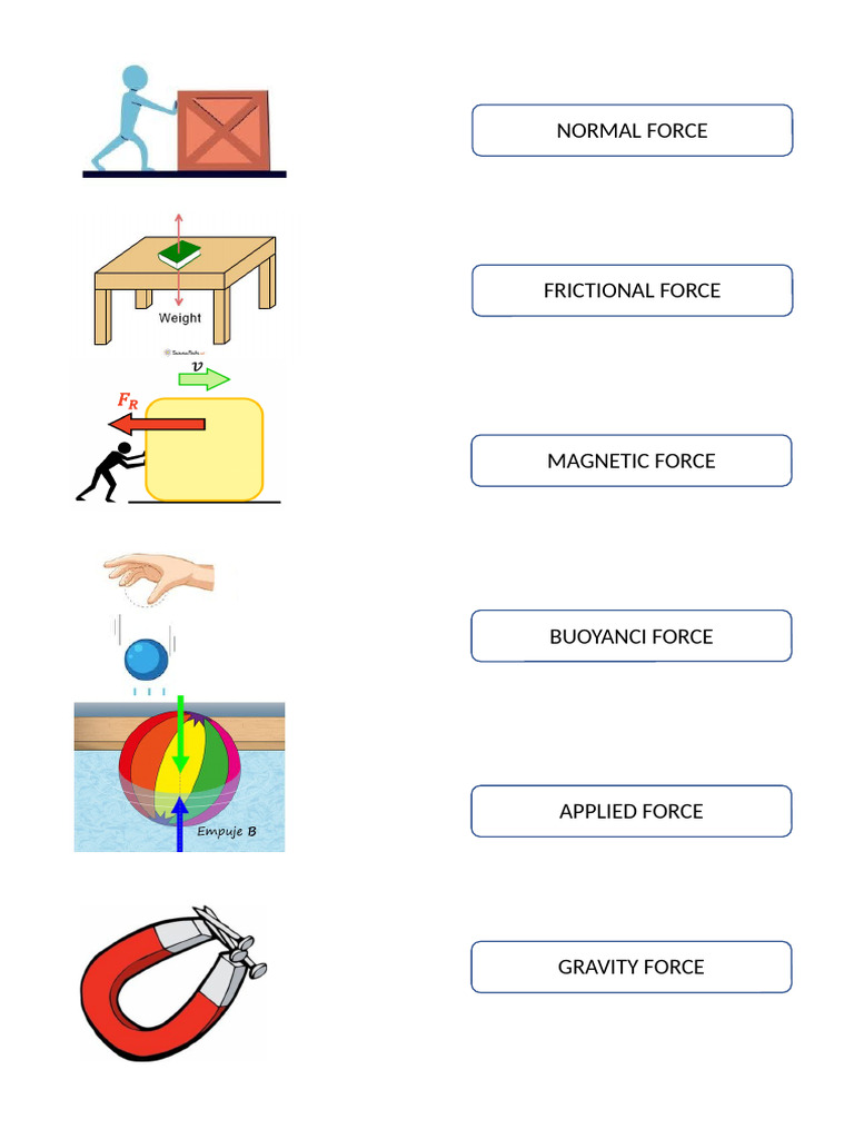Types of Forces Explained | PDF