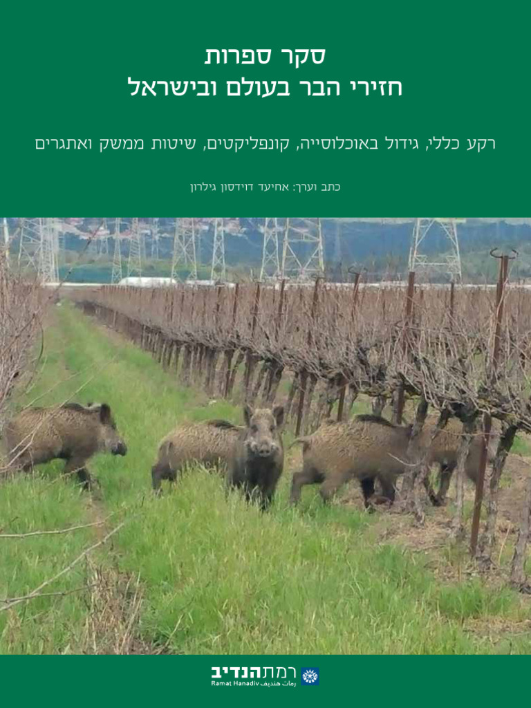 Pigs 17 Screen | PDF