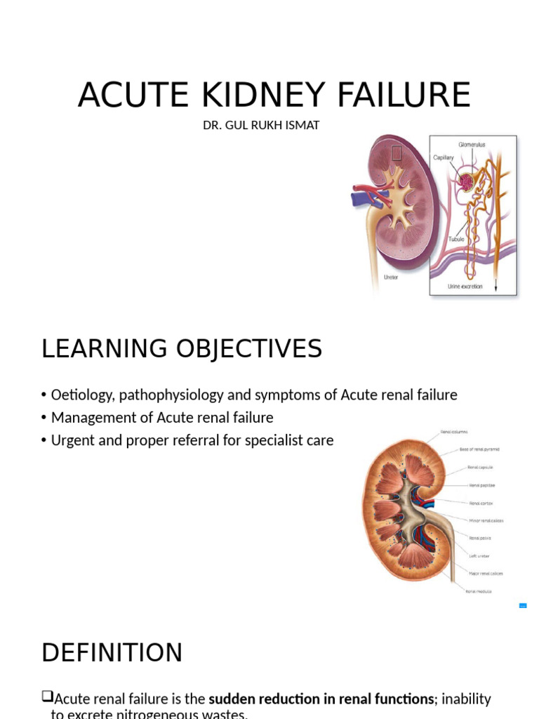 Acute Kidney Failure | PDF | Kidney | Chronic Kidney Disease