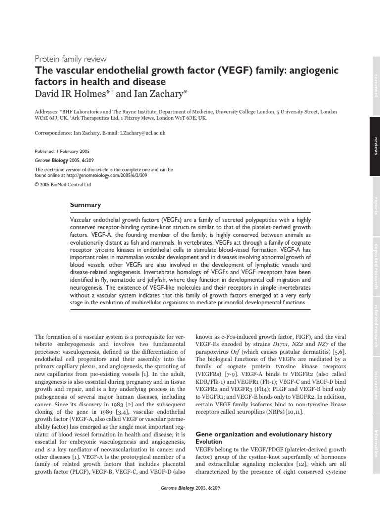 The Vascular Endothelial Growth Factor (VEGF) Family: Angiogenic ...