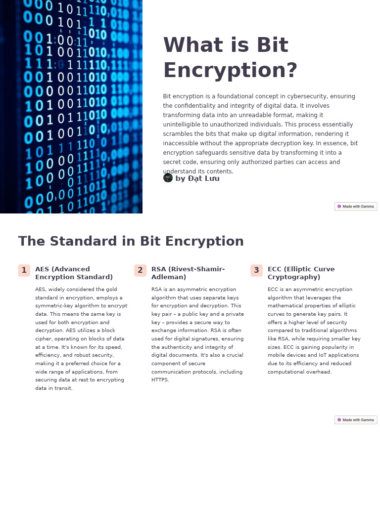 What Is Bit Encryption | PDF