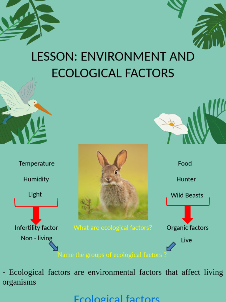 Lesson Ecological Factors | PDF