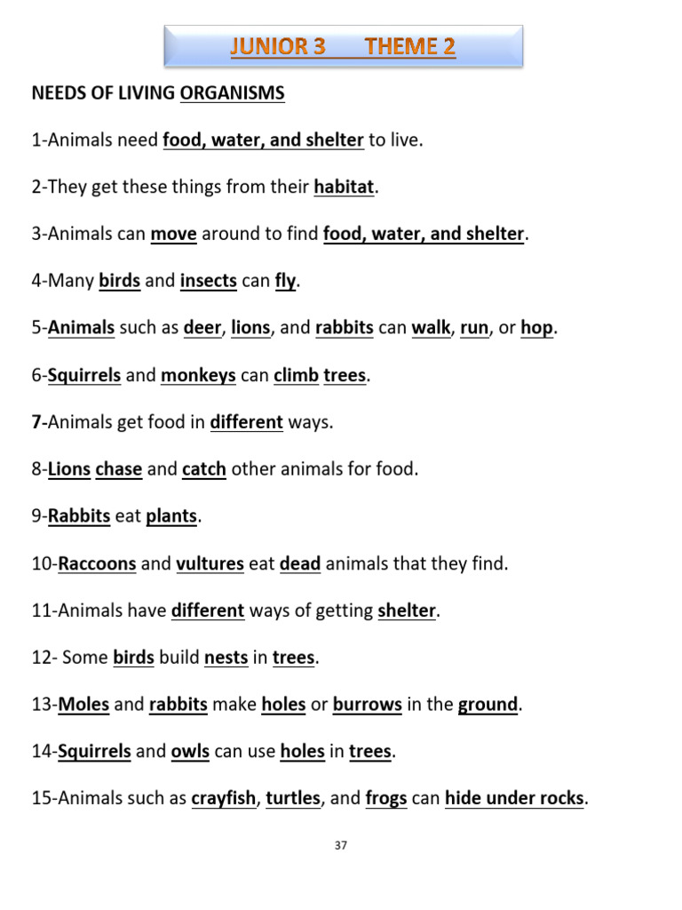 Junior 3 PART2 | PDF | Flood | Wildfire