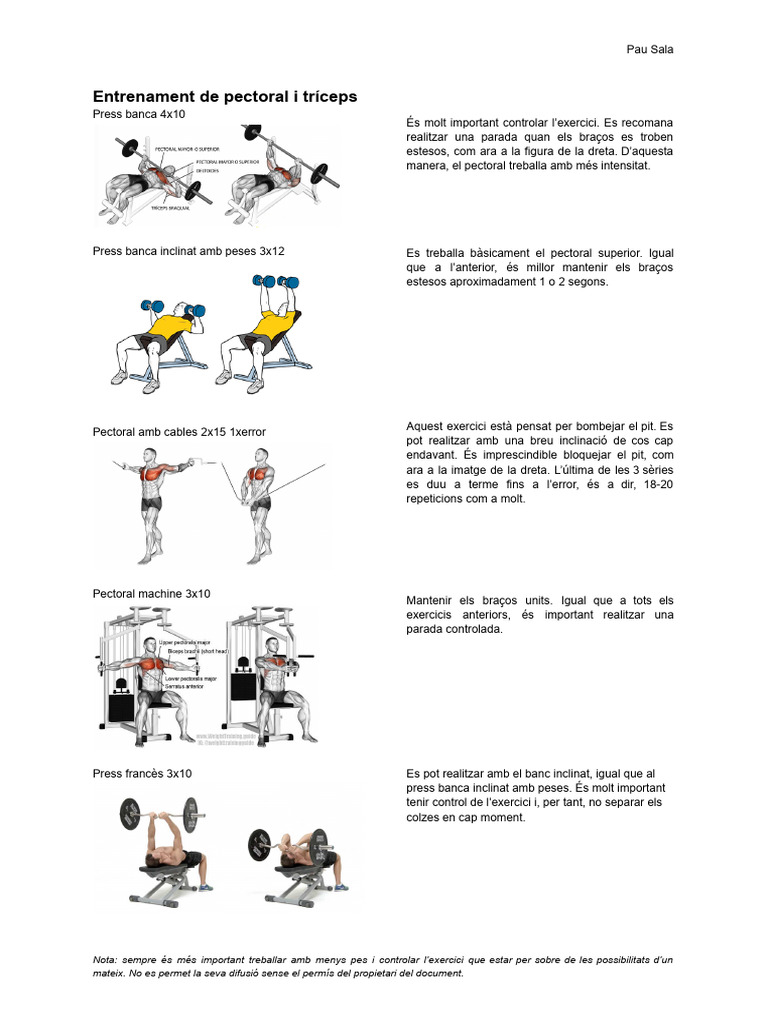Pectoral I Tríceps. | PDF