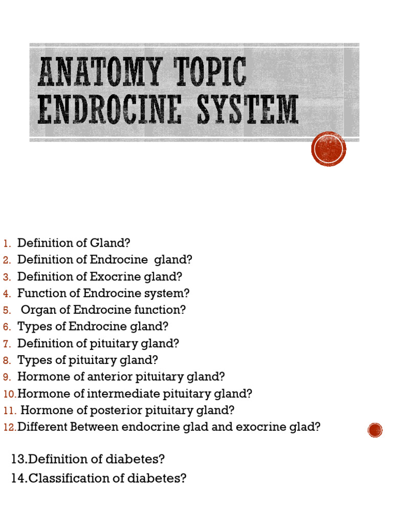 Endocrine System Basics | PDF