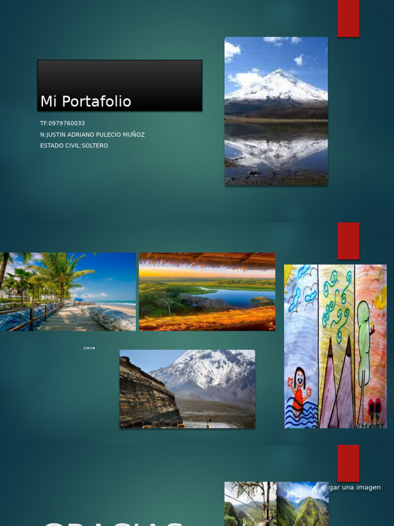Mi Portafolio | PDF