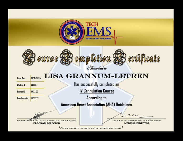 LISA GRANNUM-LETREN IV Cannulation | PDF