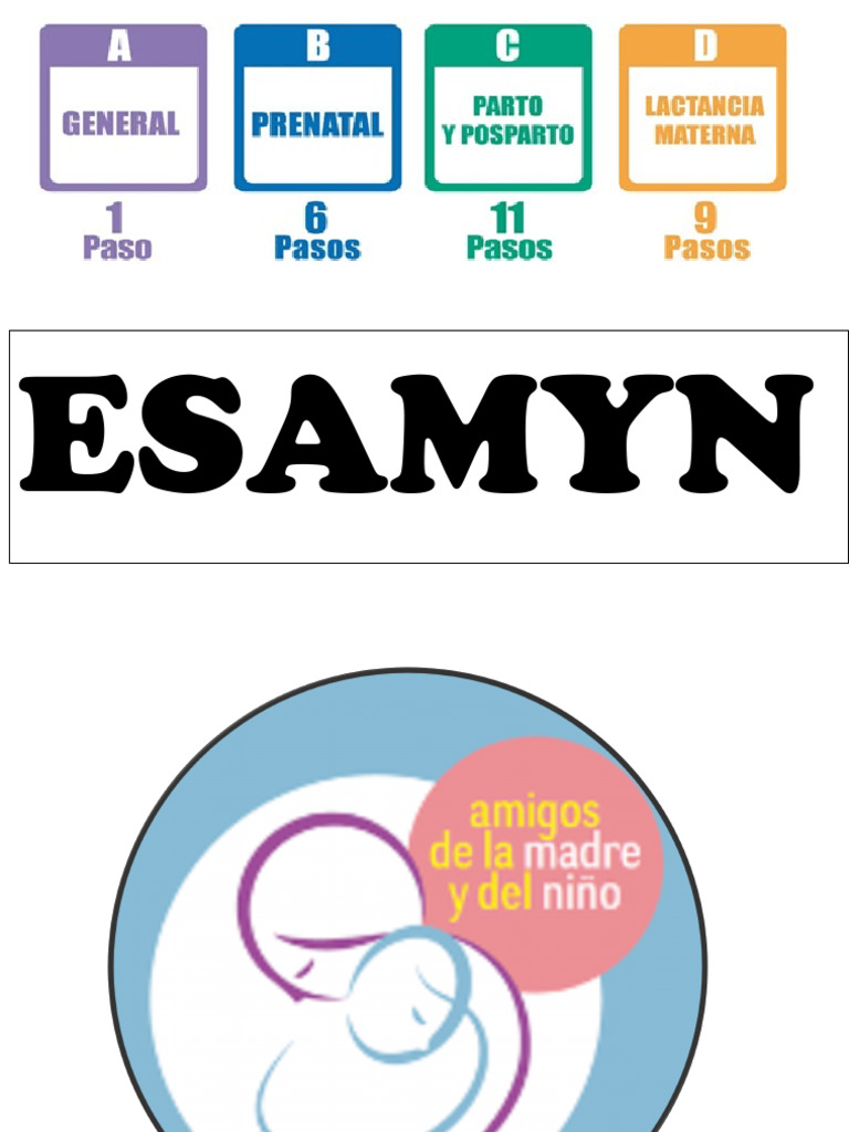 ESAMYN | PDF