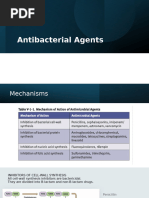 Antibiotic Mechanisms and Interactions | PDF | Beta Lactamase | Antibiotics