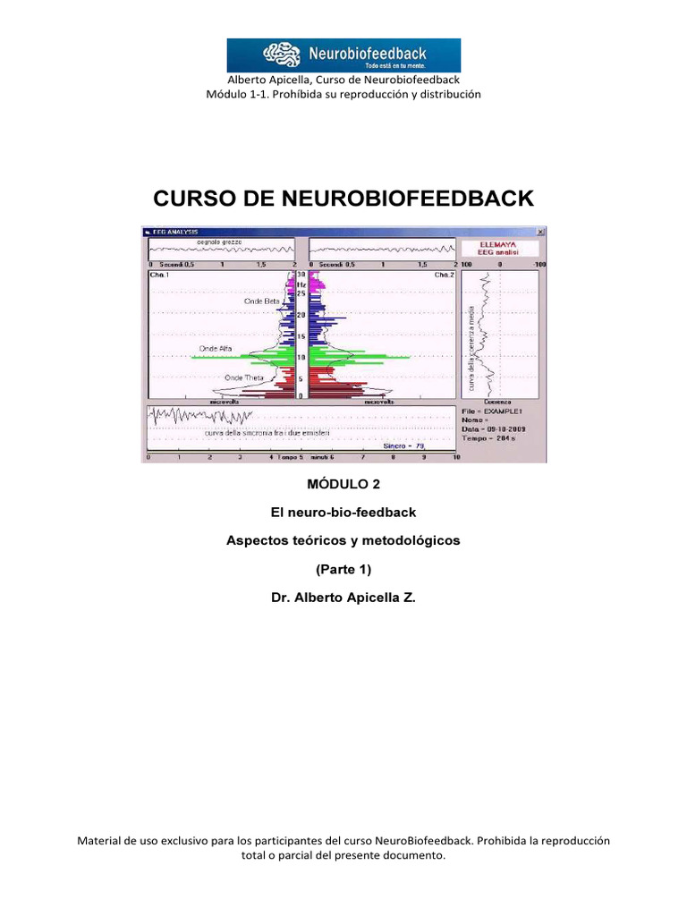 Curso de Neurobiofeedback Mądulo 2 Parte 1 | PDF | Neurona | Célula ...
