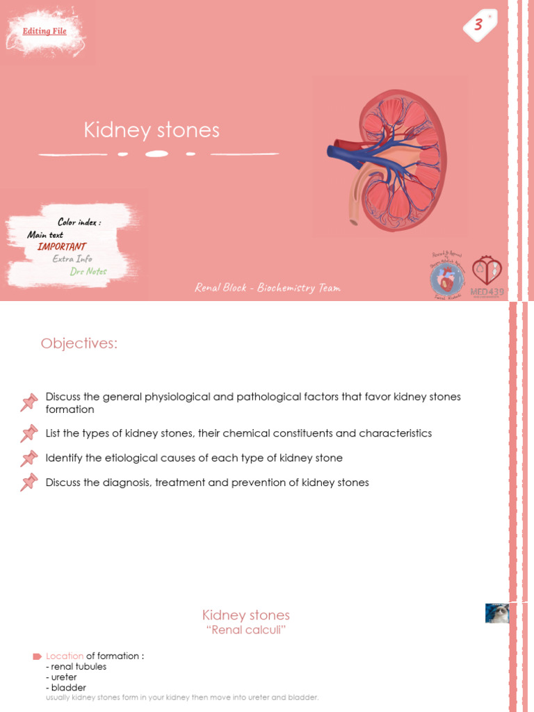 3- Kidney stones | PDF | Kidney | Urine