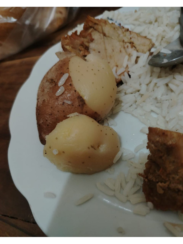 PDFReader_20241217_1310 | PDF