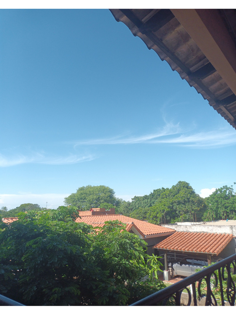 PDFReader_20241217_1309 | PDF