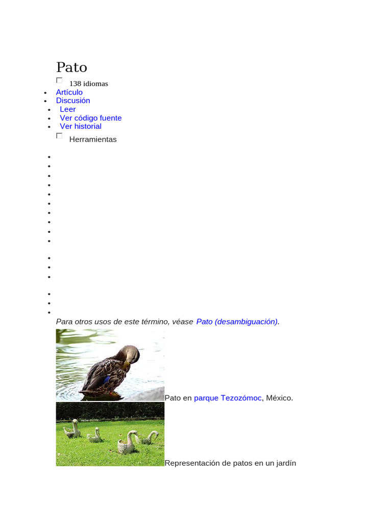 Morfología y Hábitat del Pato | PDF | Pato | Game Birds