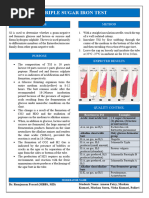 TSI Test Results for Bacterial Fermentation | PDF | Chemistry