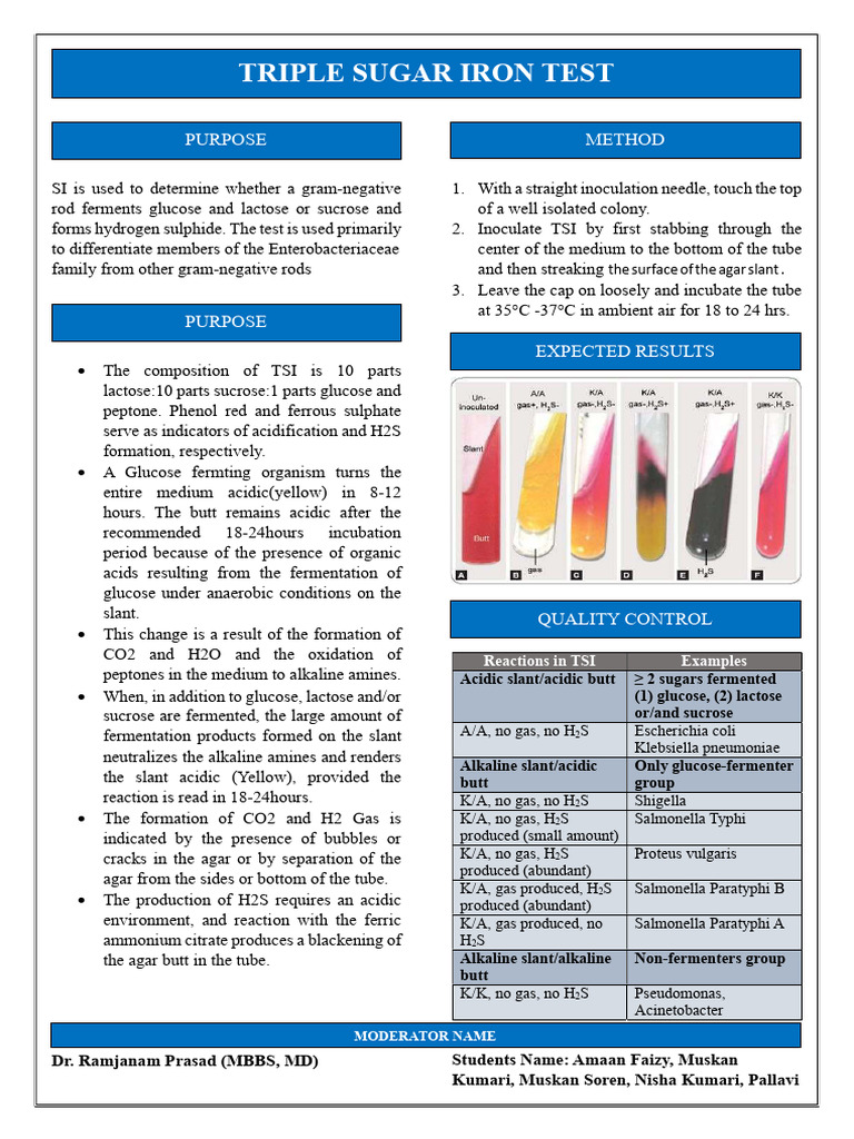 Triple Sugar Iron Test | PDF