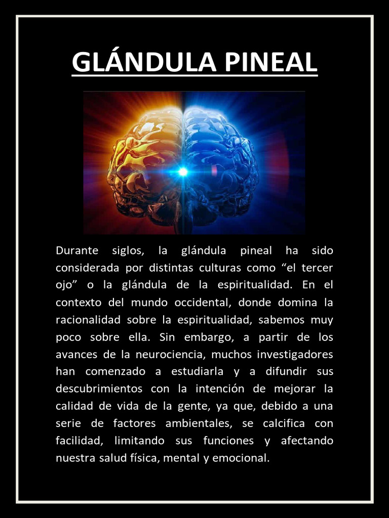 Glándula Pineal | PDF | Meditación | Glándula pituitaria