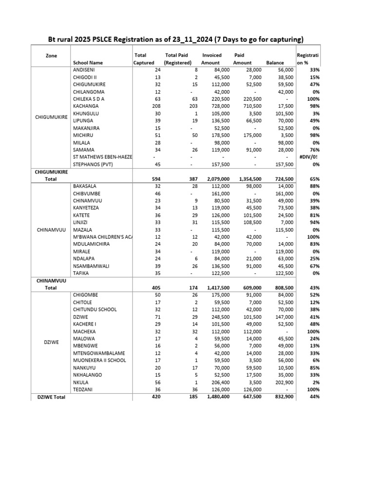 PSLCE Registration Data 2025 | PDF