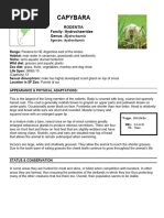 Capybara Life Cycle Overview | PDF | Biology | Zoology