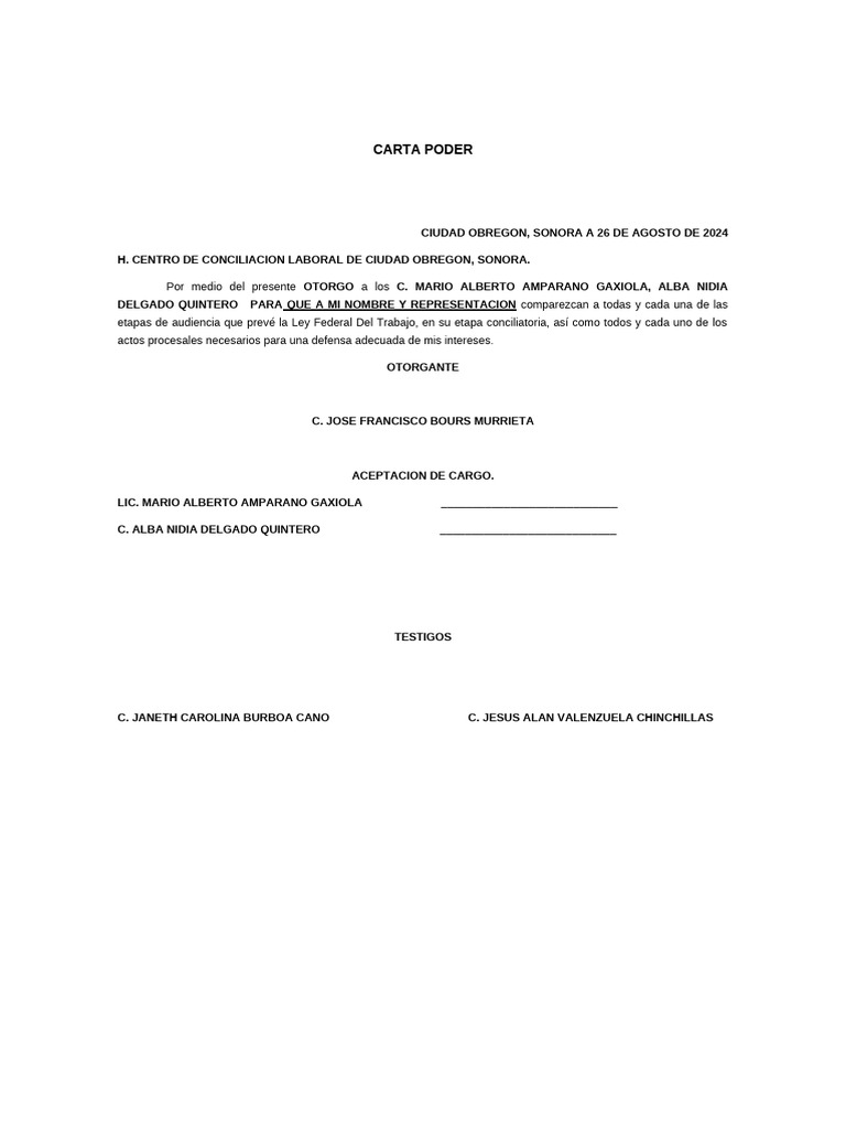 Carta Poder Materia Laboral | PDF