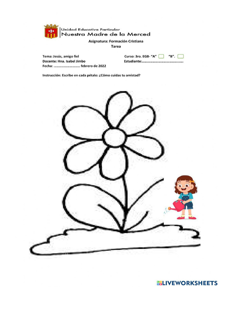 Petal 0 S | PDF