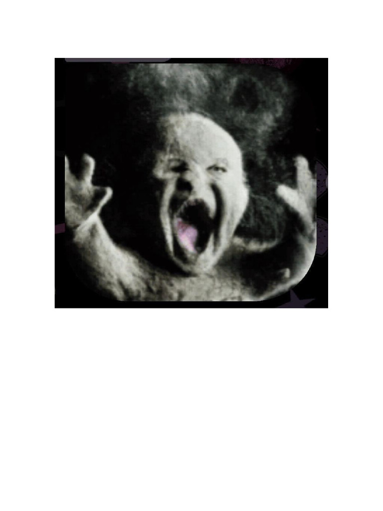 Meme Bebé Gritando | PDF