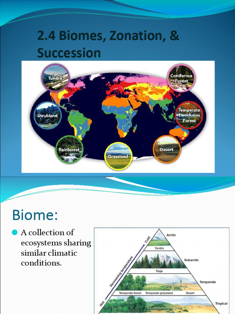 AAS 2.4 Biomes, Zonation and Sucession | PDF | Rainforest | Tropics