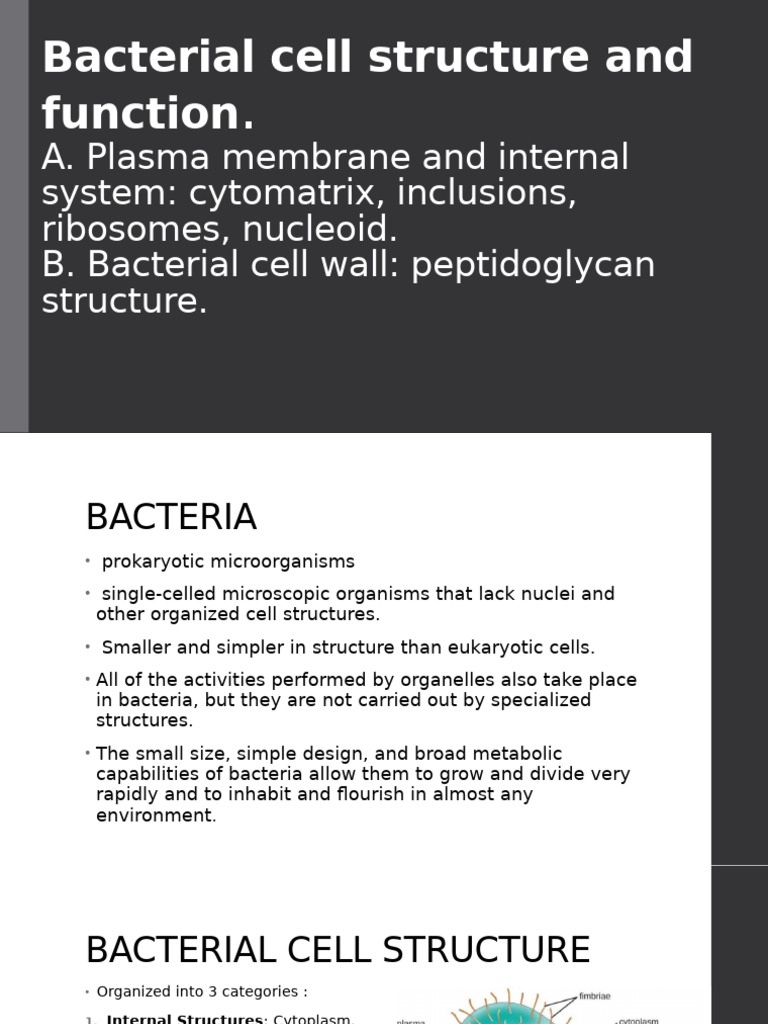 Bacterial Cell Structure and Function | PDF | Cell Membrane | Cell (Biology)