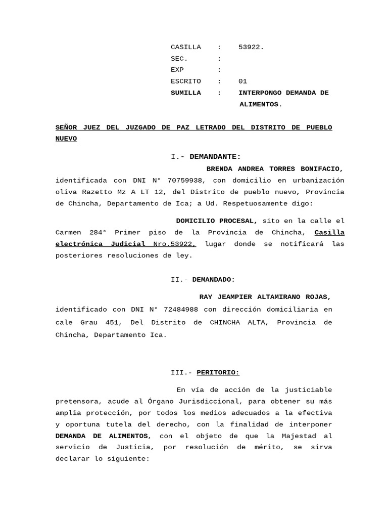 Demanda de Alimentos | PDF | Pensión alimenticia | Demanda judicial