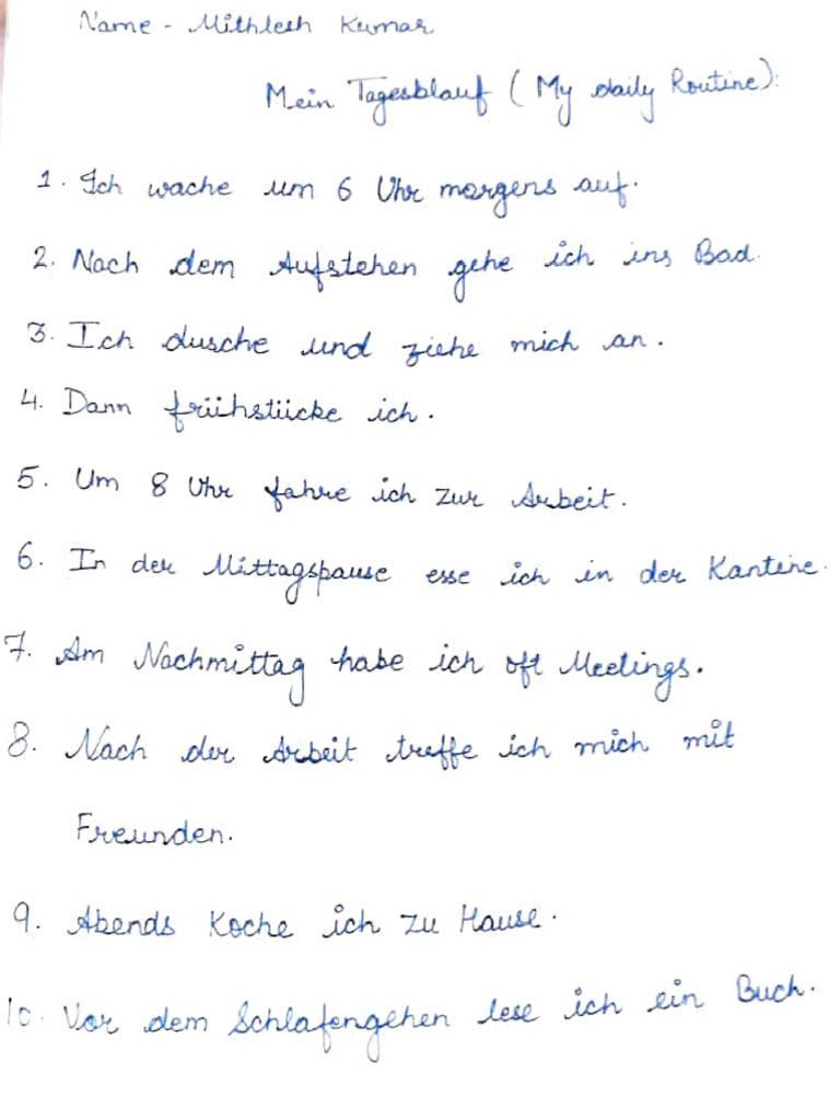 German Assignment - Mithlesh | PDF