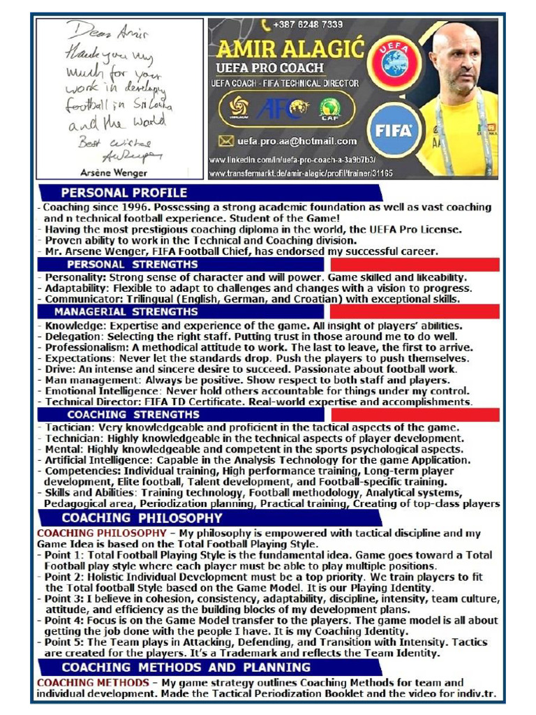 CV-PRO Amir Alagic | PDF