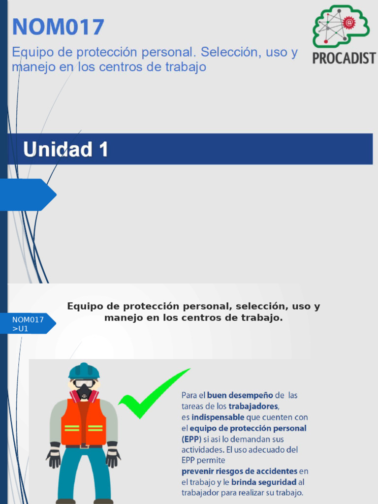 NOM-017-STPS-2008 EPP | PDF