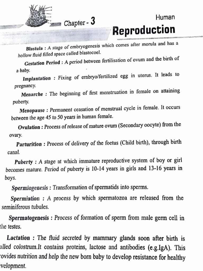 Human Reproduction | PDF