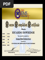 LISA GRANNUM-LETREN IV Cannulation | PDF